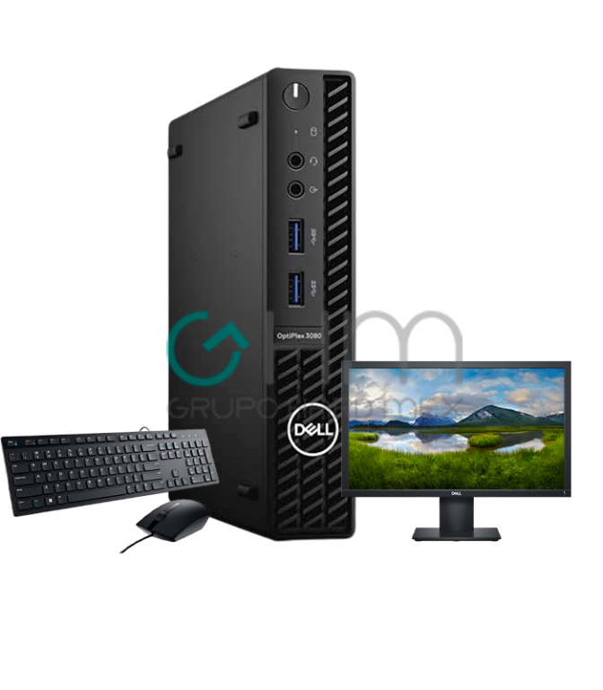 DELL OPTIPLEX 3080 – PENTIUM GOLD – Grupo Hard Mex